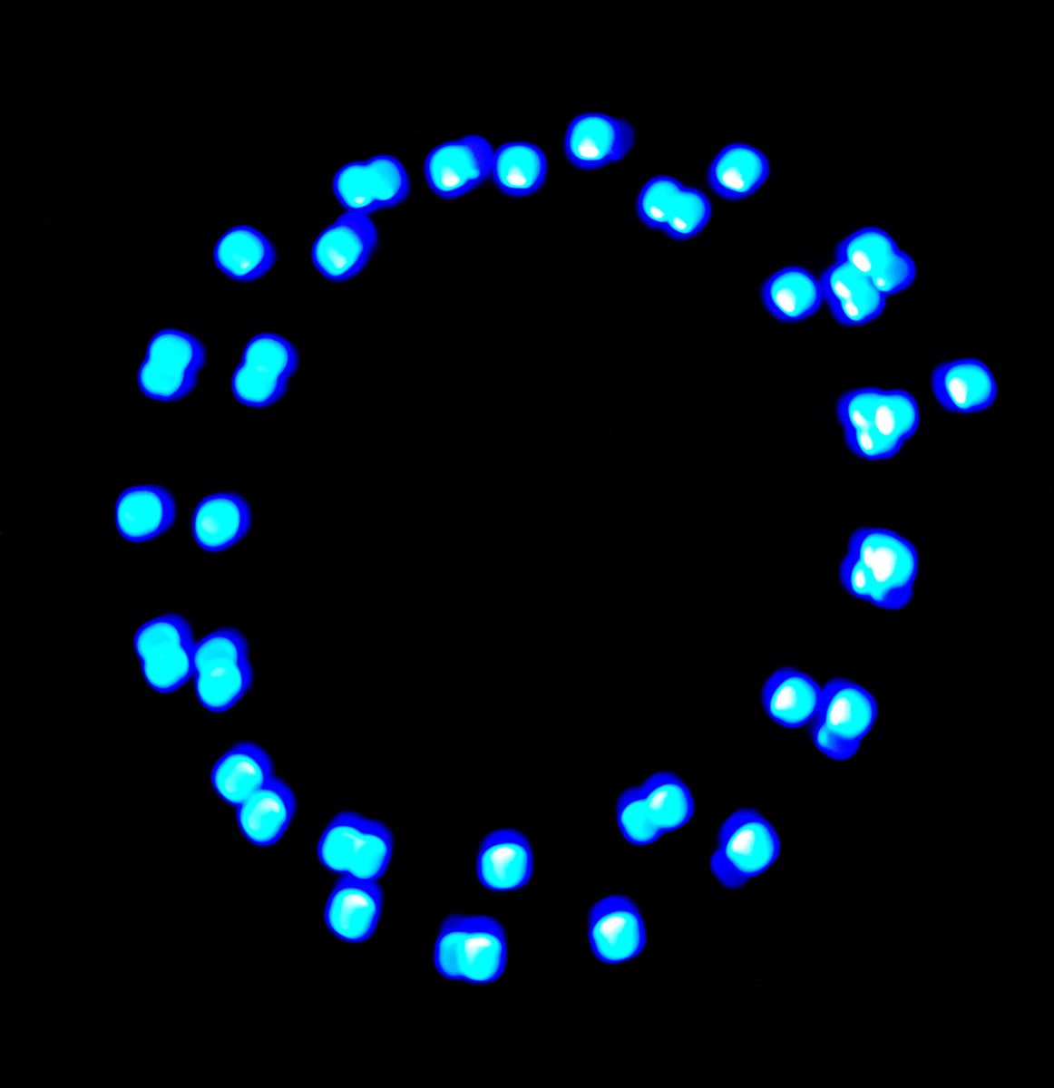 Gloving LED Bulb | Violet, Yellow, Blue Light for Glove Set Bulb Chips ...